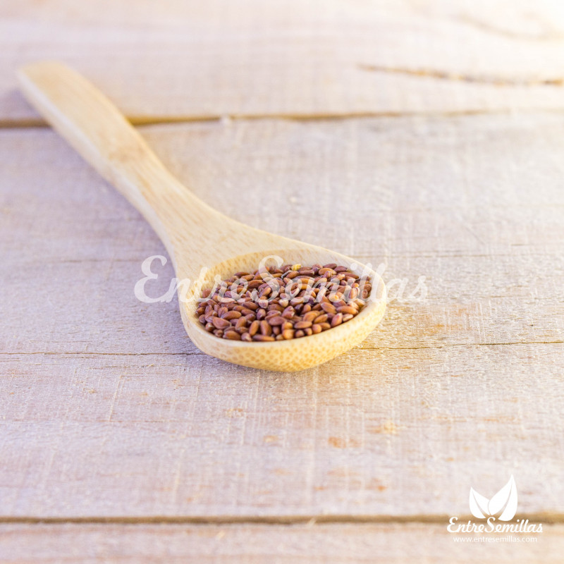 Cress - 500 seeds
