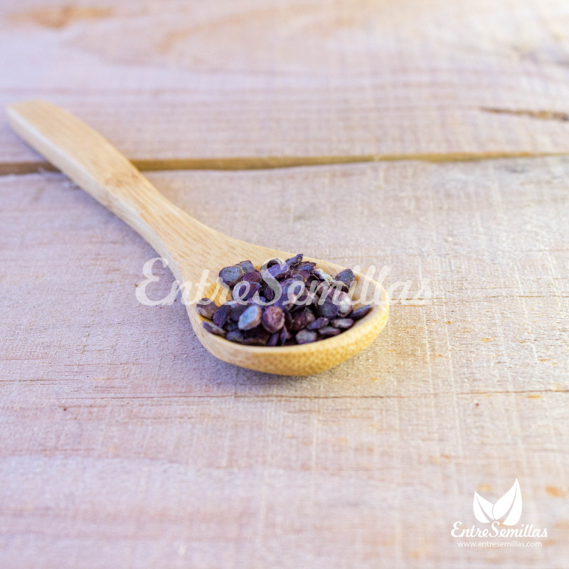 Tamarillo, Tree Tomato - 15 seeds