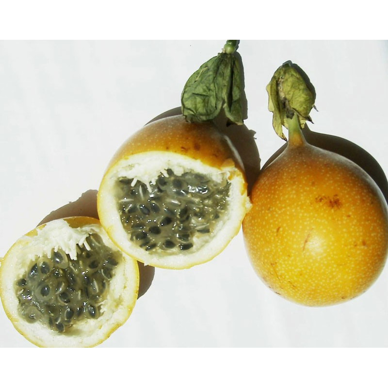 Sweet granadilla - 10 seeds